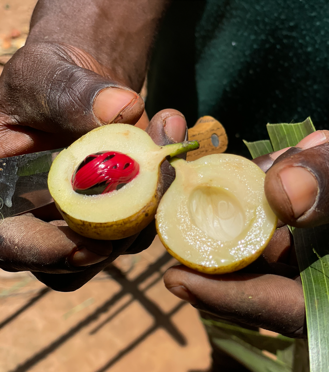 The Spice Island's Rich Tapestry of Culture and History – No Women. No ...