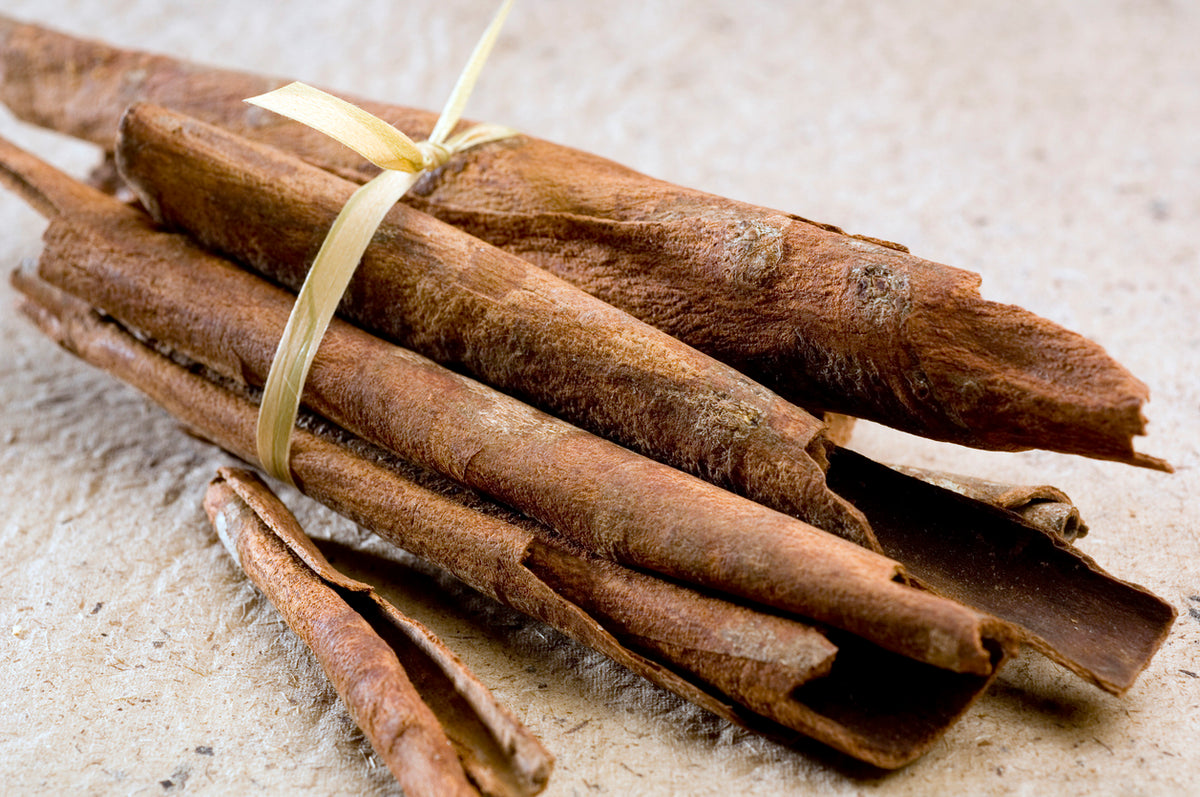 Zanzibar Cinnamon Bark - SOLD OUT – No Women. No Spice